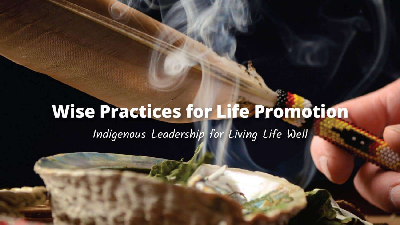 A Life Promotion Toolkit by Indigenous Youth - Wise Practices